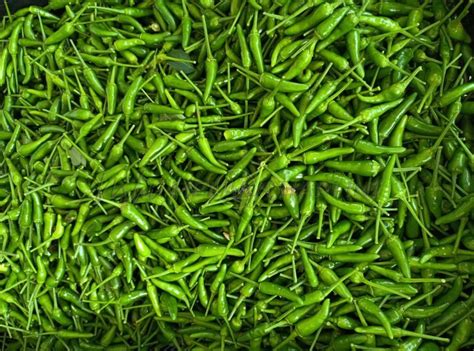 ‘cili Centil Sumber Rezeki