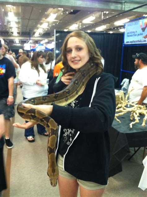 New 50 Dwarf Female Retic