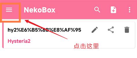 Nekobox For Android使用教程 V2ray Xtls黑科技