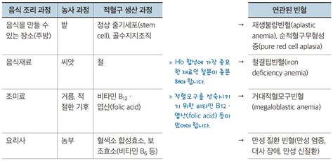 빈혈 원인 및 감별진단 Metamedic