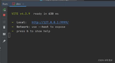 Idea里面运行vue3（vite）项目idea Vite Csdn博客