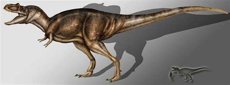About Albertosaurus