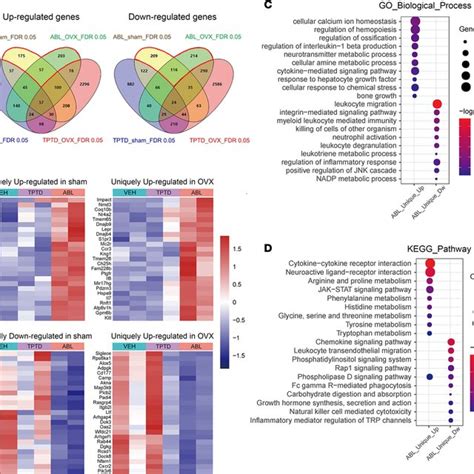Bulk Rna Seq Specific Signatures Of Abl Regulated Genes In Sham And