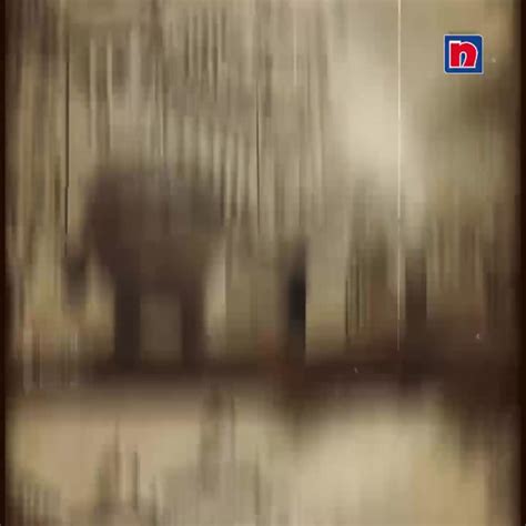 Video Vignesh Sankar Posted On Linkedin