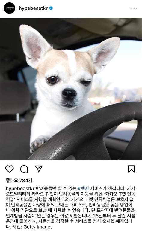 요즘 택시 근황 펨코식x 유머 움짤 이슈 에펨코리아