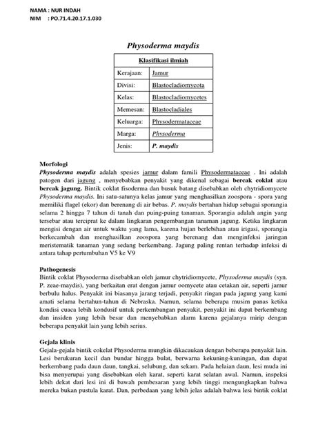 Paper Physoderma Maydis Pdf
