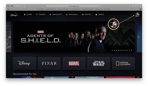 How To Change The Language On Disney Plus