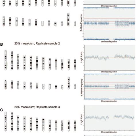 snp array analysis is carried out using bluefuse a example of a