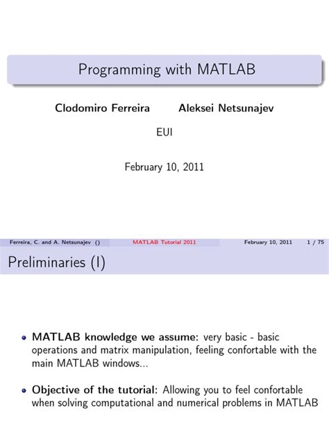 programming with matlab clodomiro ferreira aleksei netsunajev eui pdf matlab matrix