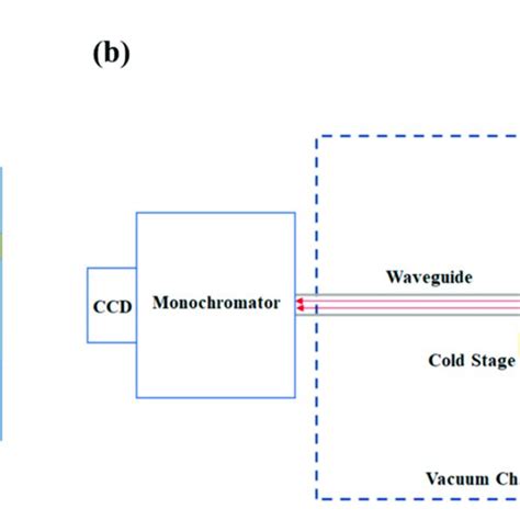 A Schematic Of The Sample Structure From The Cross Section View B Download Scientific