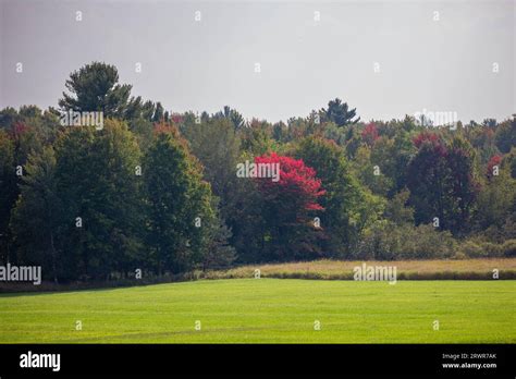 Wisconsin Trees Starting To Change Color In September Horizontal Stock Photo Alamy