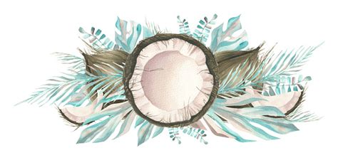 코코넛은 전체이며 열대 야자수 잎으로 열립니다 수채화 그림입니다 코코넛의 큰 세트의 구성 음식 화장품 포장 로고의 장식 그리고 디자인을 위해 로고에 대한 스톡 벡터 아트 및