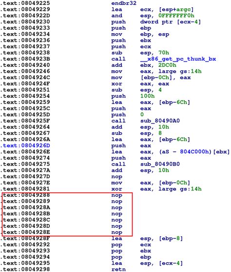 Patched Function Snippet The Red Frame Demonstrates The Patched Part