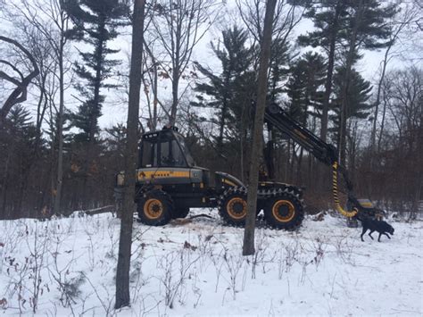 Logging Pics Wildlife Habitat Lets Talk