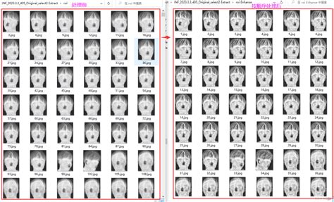 Python 批量按照原图片名称顺序自定义修改图片名，及顺序读取文件夹中图片处理批量修改图片名字 排序python Csdn博客