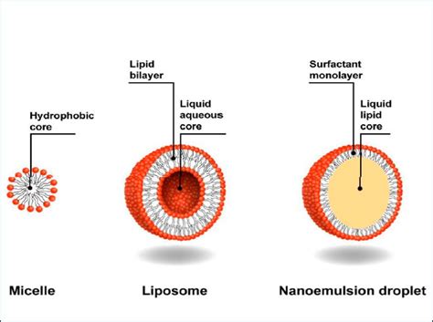 The Current Status Hotspots And Development Trends Of Nanoemulsions A… István Puskás