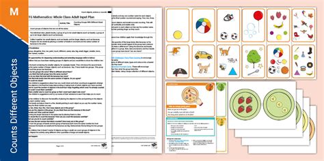 Counting Groups With Different Objects Adult Input Plan