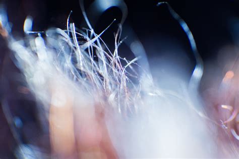 염소의 모피의 추상 다채로운 매크로입니다 얕은 깊이 필드 예술적 색상 장식 모습입니다 갈색에 대한 스톡 사진 및 기타 이미지 Istock