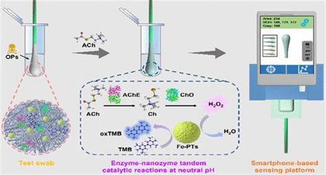 在中性 Ph 条件下具有高效类过氧化物酶活性的无定形含铁磷钨酸盐：通过串联催化放大实现用于农药检测的便携式拭子 Analytical Chemistry X Mol