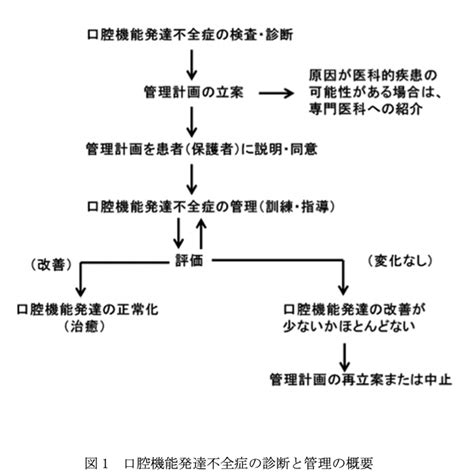 口腔機能発達不全症 マイクロスコープ歯科治療 イリタニオフィス東京