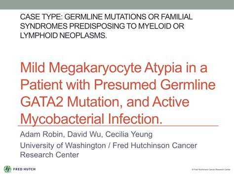 Mild Megakaryocyte Atypia In A Patient With Presumed Germline Gata2
