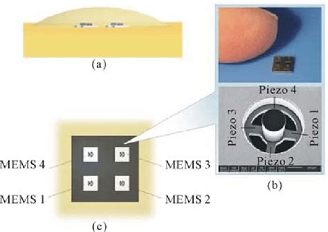 A 3d Design Of The Tactile Sensor Array B Top The 2 × 2 Mems