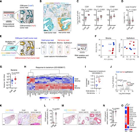 Multimodal Immune Phenotyping Reveals Microbial T Cell Interactions