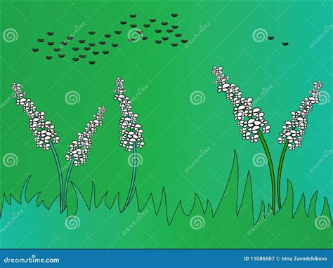 Grass Plot Stock Vector Illustration Of View Beauty 11086507