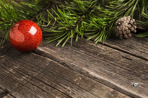 빛나는 지팡이와 흰색 나무 바탕에 소나무 콘 상록 전나무 나뭇가지 0명에 대한 스톡 사진 및 기타 이미지 0명 계절 공란 Istock