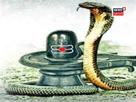 Nag Panchami 2024 શું તમને ખબર છે કેમ નવા ઘરના પાયામાં નાગ નાગિનના