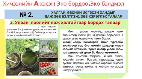 Экстра Ургамал Төв Added A New Photo Экстра Ургамал Төв