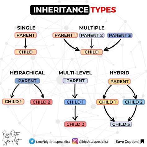 Day10 Java Operators Programming Inheritance Coding Developers Syed Nehal