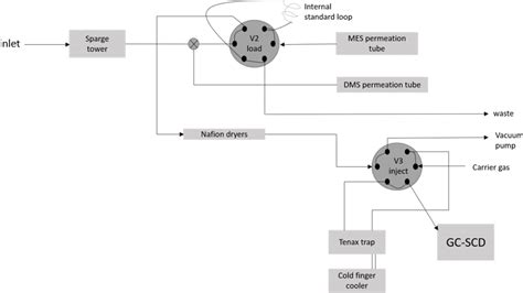 A Schematic Layout Of The Dms Analysis System For Measuring Dissolved