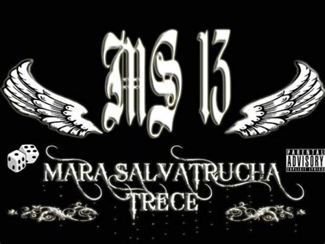 Ms 13 Logo