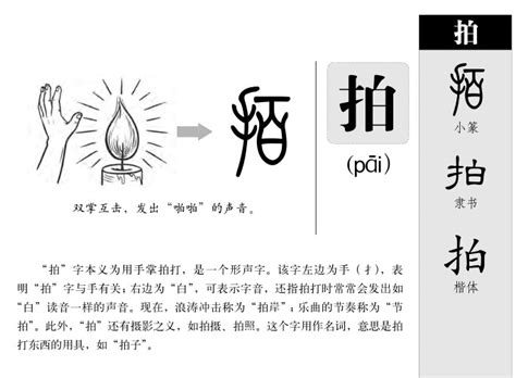 拍的意思 拍字五行属什么 拍字取名的寓意 起名网