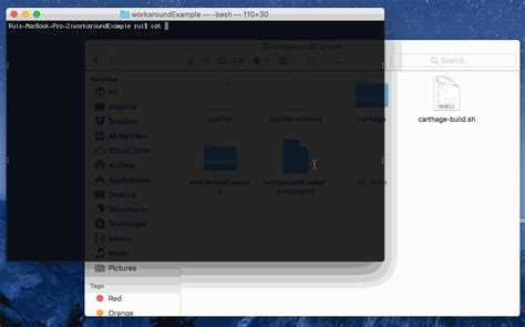 Github Ruipfcostacarthage Workarounds Shell Scripts To Make Life A Little Easier When Using