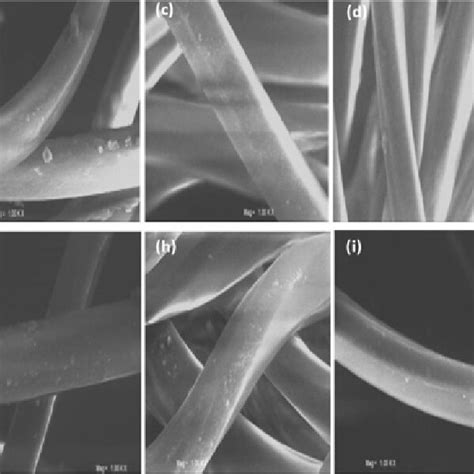 Sem Photos Of Polyester Fibers Treated With A Acetone B Download Scientific Diagram