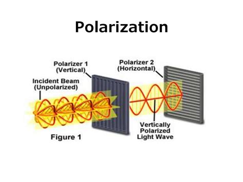 Solution 5 Polarisation And Diffraction Studypool