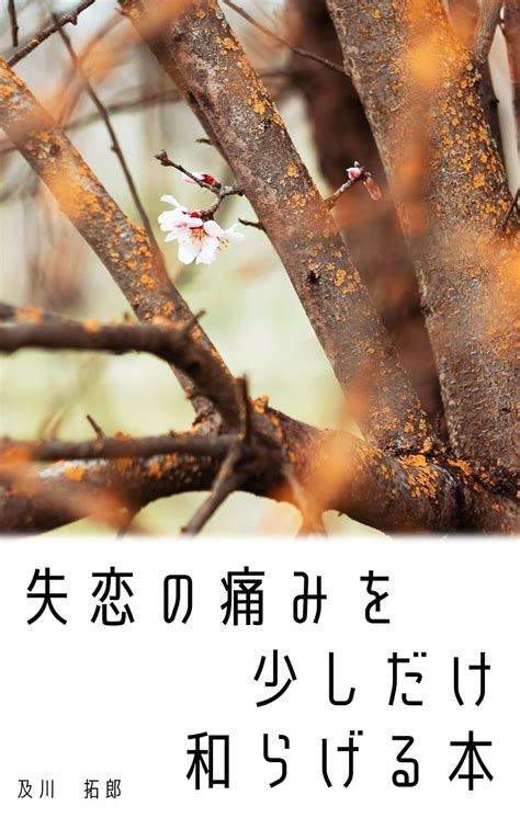 Jp 失恋の痛みを少しだけ和らげる本 失恋に効く16のクスリ 男の失恋解放シリーズ Ebook 及川 拓郎