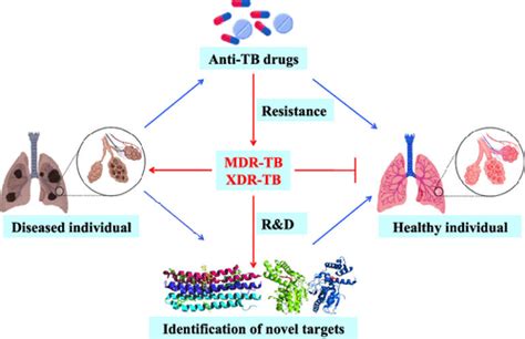 结核病：在近十年来对广泛耐药结核病菌株的潜在药物开发中的免疫原性反应，疾病进展和药物化学工作的概述journal Of Medicinal Chemistry X Mol