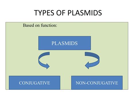 Plasmid Types Structure And Functions Pptx
