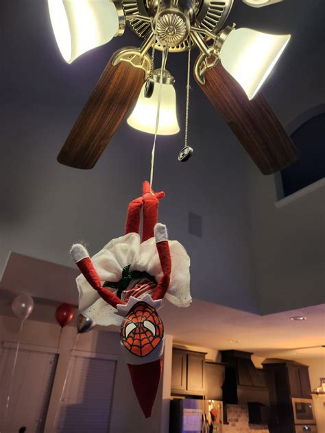 Spider Elf Does Whatever A Spider Elf Can Relfontheshelf