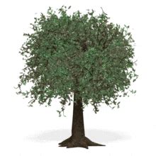 Fall Tree Leaves D Animated Clipart For PowerPoint PresenterMedia Com