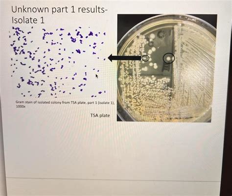 please answer part 2please help with part 2 unknown