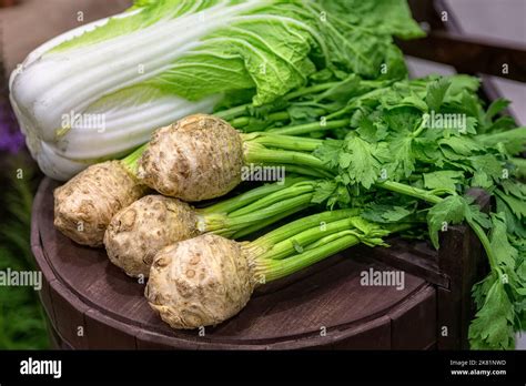 Fresh Celery Root With Stalk With Green Leaves And Chinese Cabbage Healthy Salad Ingredients