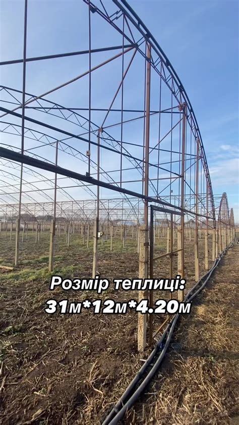 Світлана Павлюк ︎Фермер ︎Теплиці ︎Овочі Стою біля сервісного центру серце в пятах руки