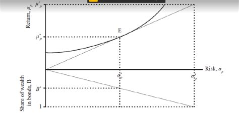 Tobin Portfolio Model