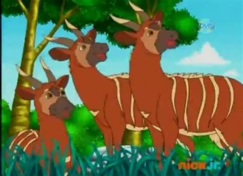 Lowland Bongo The Parody Wiki Fandom Powered By Wikia