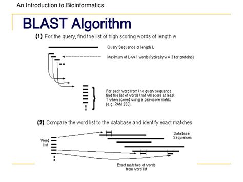 Ppt Comparing Biological Sequences 3 Database Searching And Multiple Alignment Powerpoint