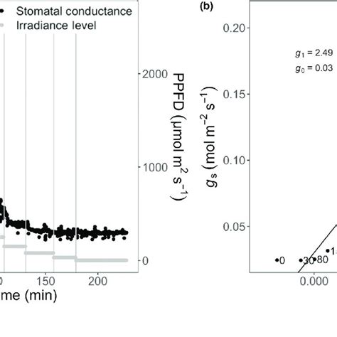 Schematic Representation Of The Response Curve Method A Raw Data
